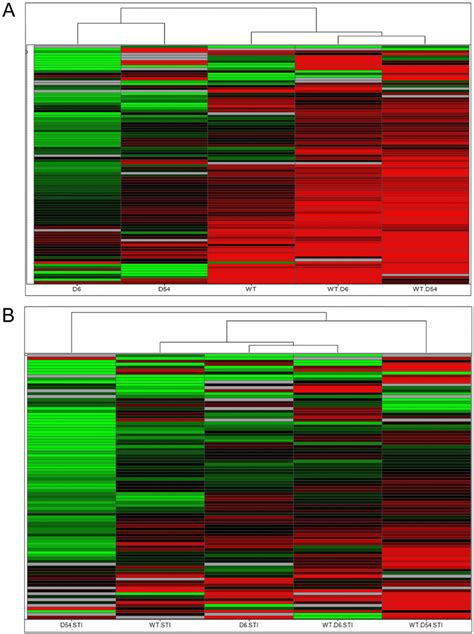 Unsupervised Hierarchical Clustering Of MiRNA Expressions In Cell