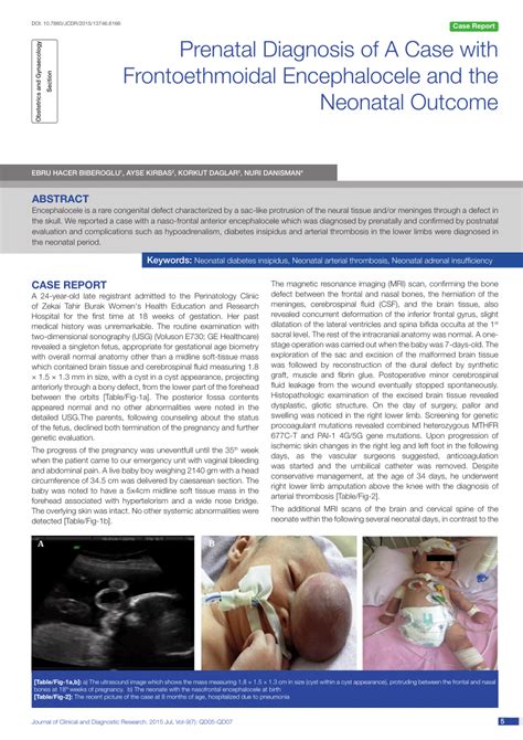 Pdf Prenatal Diagnosis Of A Case With Frontoethmoidal Encephalocele And The Neonatal Outcome