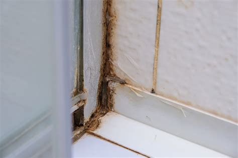 욕실 공간 개념에서 습도 요함 습기 및 습기 문제가 있는 습기가 부족한 욕실에서 타일 조인트에서 곰팡이 곰팡이와 녹이 자라는 가사 집안일에 대한 스톡 사진 및 기타 이미지