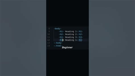 This Is How Different Type Of Coders Which Exists Letscodeitout