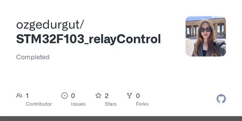 GitHub Ozgedurgut STM F RelayControl Completed