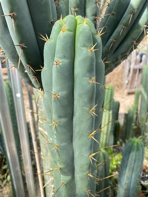 Noid Album On Imgur Noid Album On Imgur