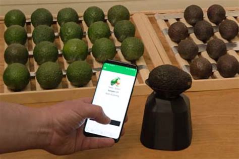 Predictive Shelf Life Of Fruits And Vegetable Scanner