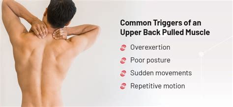 Ive Pulled A Muscle In My Upper Back What To Do Disc