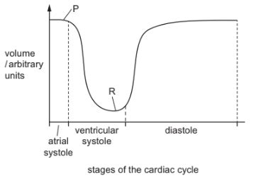 The Graph Shows Changes In The Volume Of The Ventricles During The Cardia