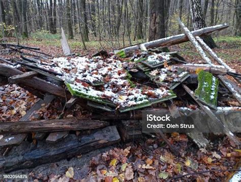 숲 속의 목조 주택에서 나온 구조물의 유적 숲 한가운데에 남아 있던 옛 산림 관리인의 집 잔해가 낙엽 아래 숨겨져 있었다 0명에 대한 스톡 사진 및 기타 이미지 Istock