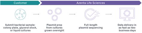 Direct Colony To Whole Plasmid Sequencing Genewiz