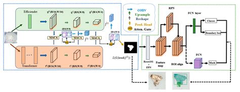 Tfemrnet A Two Stage Multi Feature Fusion Model For Efficient Small Pest Detection On Edge