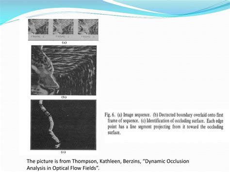 ppt dynamic occlusion analysis in optical flow fields powerpoint