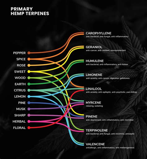 Terpenes Chart