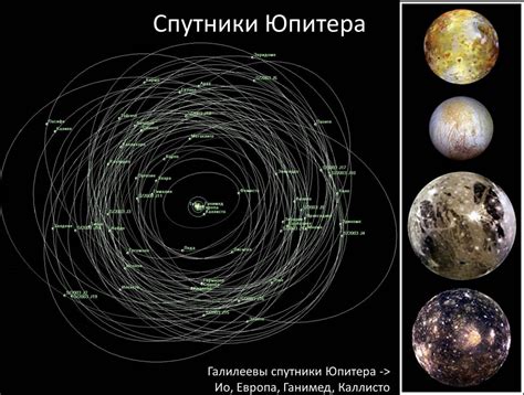 Ревущего медведя 21 фото