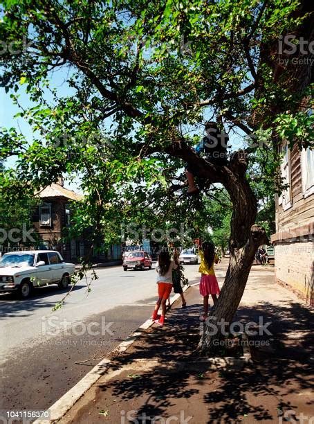 뽕나무 프스코프 거리 도시의 오래 된 지구에 아스트라한 러시아 6월에 대한 스톡 사진 및 기타 이미지 6월 가정 생활 거리 Istock