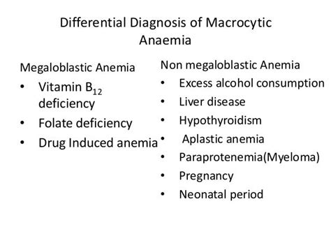 Megaloblastic Anemia Mak