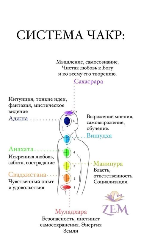 Система чакр человека Где находится чакры Чакры Медитация для чакр Медитация