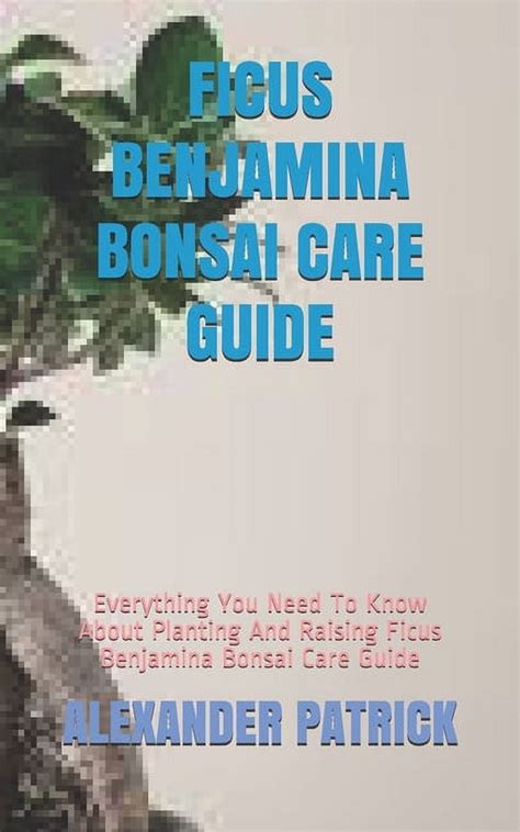 Ficus Benjamina Bonsai Care Guide Everything You Need To Know About