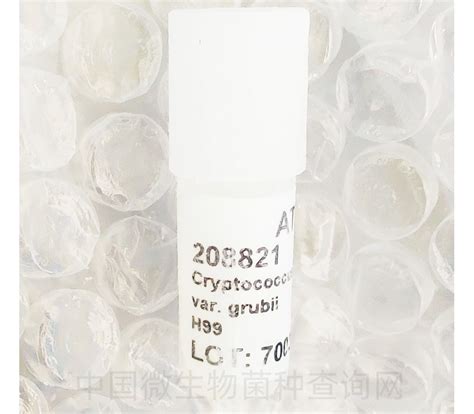 美国atcc Atcc菌种类 微生物菌种查询网 Atcc 菌种 质粒 细胞系