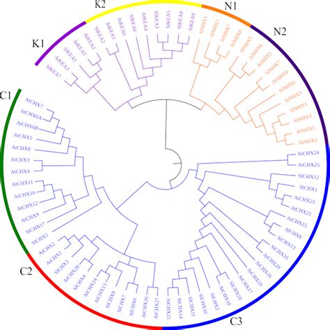 Do Biological Data Analysis And Visualization By Bioinformatics Tools