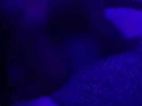 Strella Kat Backshots