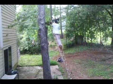 Tree Cutting Accident In Kennesaw Ga YouTube