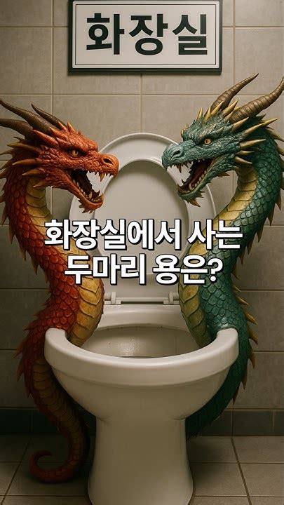 화장실에 사는 두마리 용은 넌센스퀴즈 아재개그 말장난 유머쇼츠 화장실개 Youtube