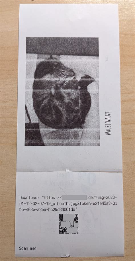 Github Rdlgrmpf Pibooth Escpos Pibooth Plugin To Print The Final Picture With A Thermal