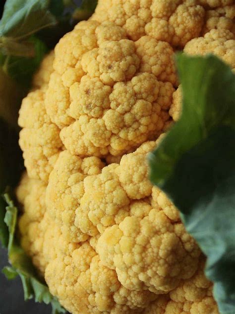 Yellow Leafy Vegetables 7 Reasons For Yellow Cucumbers And How To Fix