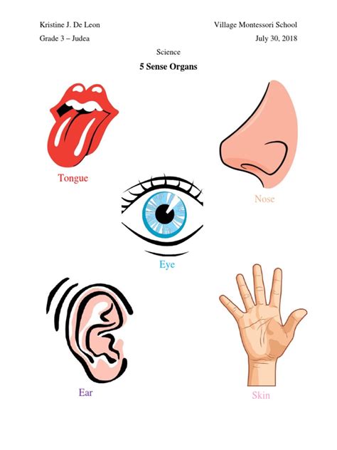 5 Sense Organs Pdf Wellness