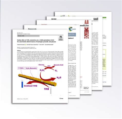 Graphical Abstract Springer Sample Scientific Illustration Inmywork