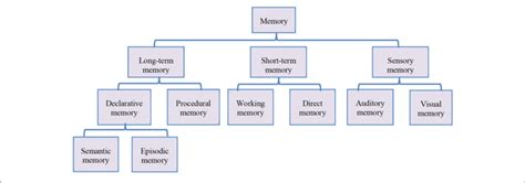 Memory Classification Download Scientific Diagram