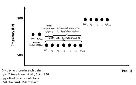 Scalp Topographies Based On The Average Individual Peak Amplitude N Download Scientific
