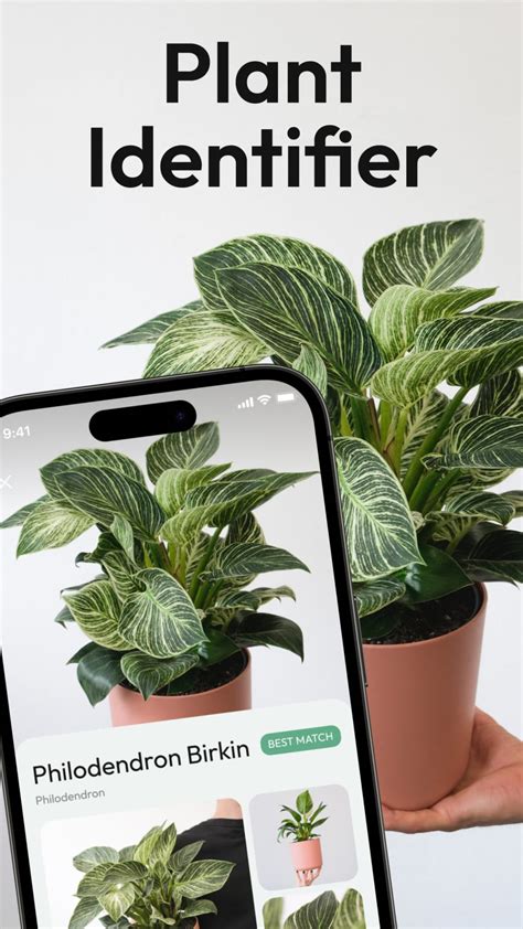 Tree Plant Identifier App For Iphone Download