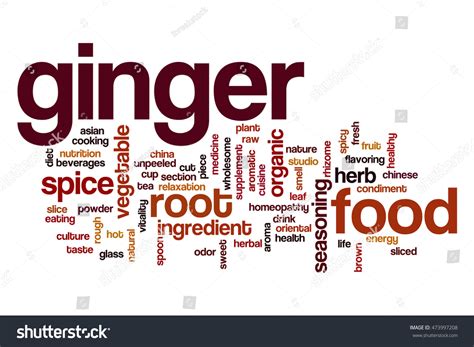 Ginger Word Cloud Concept Stock Illustration 473997208 Shutterstock