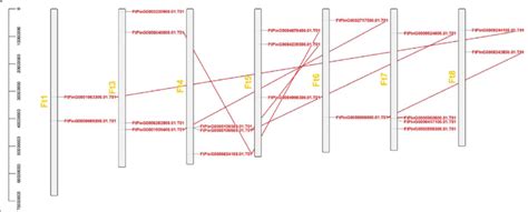 Schematic Representations Of The Chromosomal Distribution And