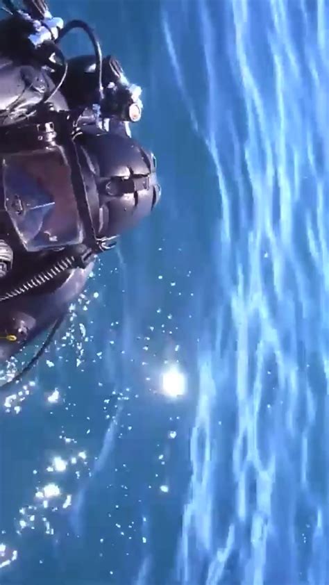 Exiting The Water After A Long Hard Dive