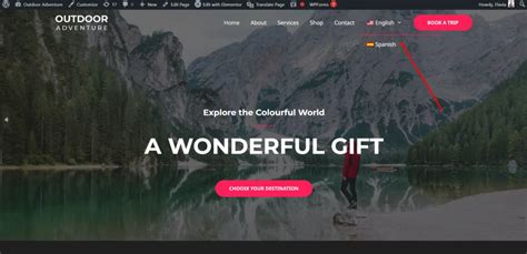 How To Add A Website Language Selector In WordPress TranslatePress