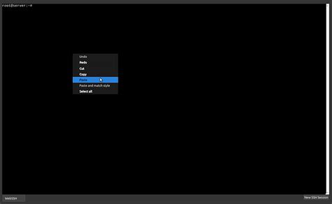 Pyqt Embed External Program Into Qwidget