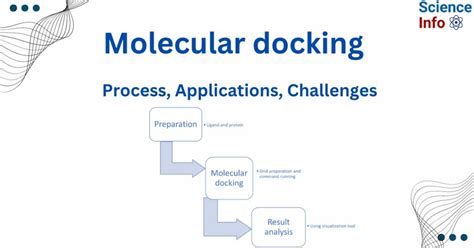 Molecular Docking Process Applications Challenges