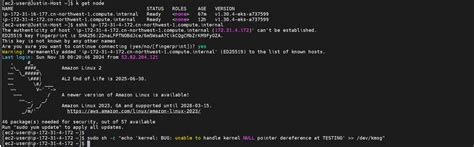 基于节点问题检测器（node Problem Detector）监视和报告 Amazon Eks 节点的健康状况和自动恢复 亚马逊aws官方博客