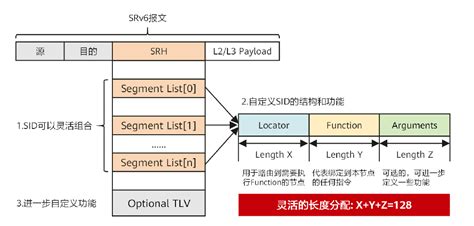 Srv6学习 Lk233s Blog