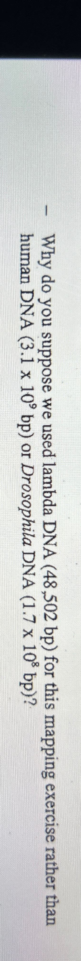 Solved Why Do You Suppose We Used Lambda Dna 48502bp ﻿for