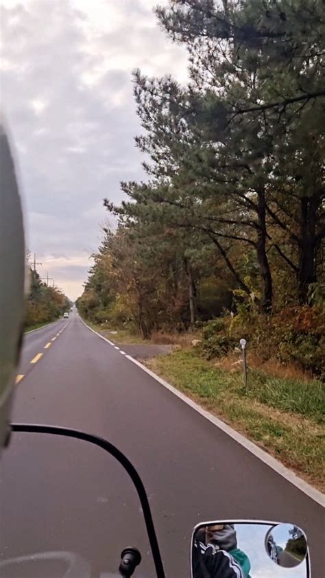 Mori And Poplar🌿 。 시간에 대해 생각한다 시간을 견뎌낸 것들 이를테면 그늘이 넓은 오래된 나무와 다시 찾아와도