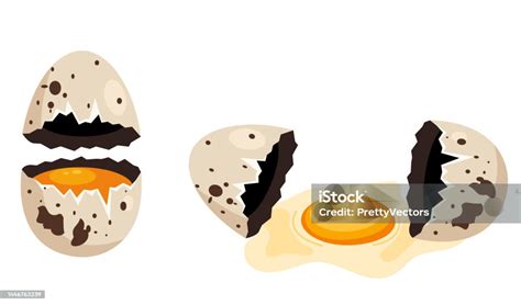 금이 간 메추라기 알 부화 단계 전체와 깨진 추상 개념 세트 벡터 그래픽 디자인 그림 요소 달걀에 대한 스톡 벡터 아트 및 기타 이미지 Istock