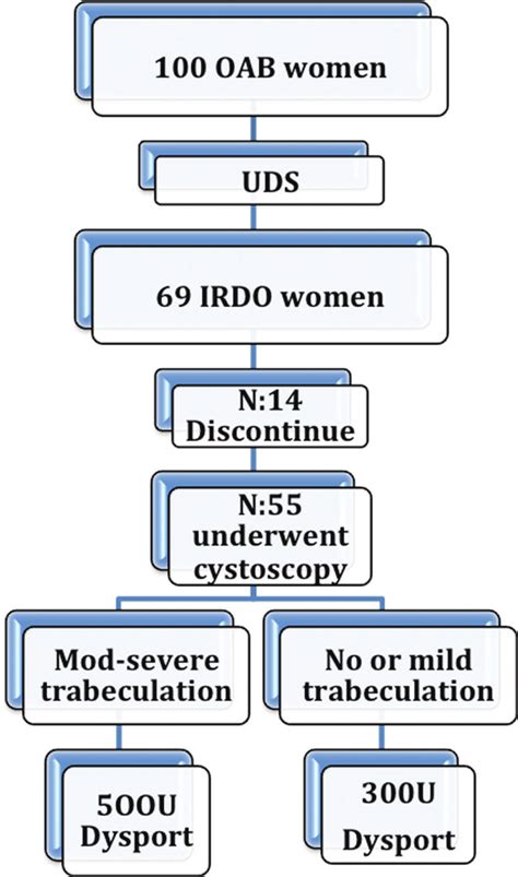 Assignment Of Patients To 300 Or 500 Units Intravesical Injection Of Download Scientific