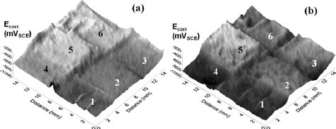 Interpolated Greyscale E Corr Distribution Patterns Obtained By Skp Download Scientific