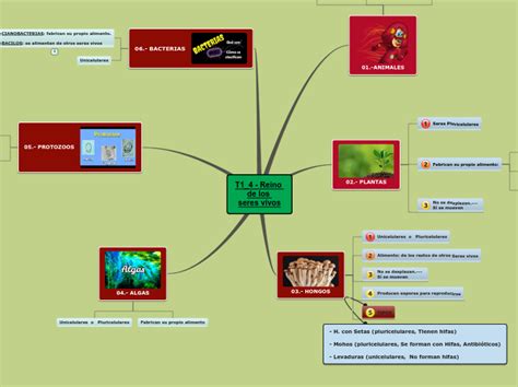 Sample Mind Map Mapa Mental Mindomo