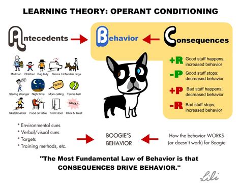 Personal Examples Of Operant Conditioning At Kaitlyn Joseland Blog