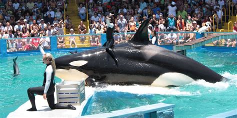 Authorities Make Moves To Permanently Close Controversial Florida Theme