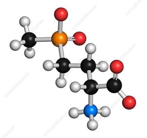 Glufosinate Herbicide Molecule Stock Image F011 9838 Science Photo Library