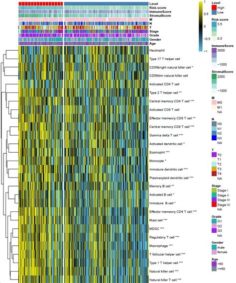 笔记22 R语言给热图添加显著性标记 哔哩哔哩