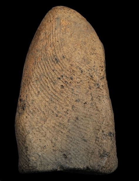 พระกลีบบัวสมาธิ กรุวัดบางสะแกนอก พระเมืองเหนือ บริษัท พระเมืองเหนือ จำกัด